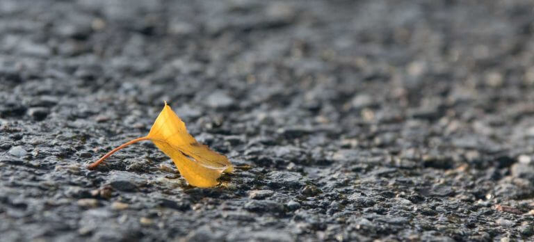 Wie entsteht ein digitales Bild? Von den Lichtstrahlen zu deinem JPG-Foto